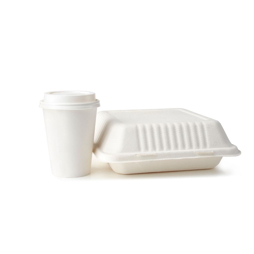 CLAMSHELLS (BAGASSE) - MoryEng