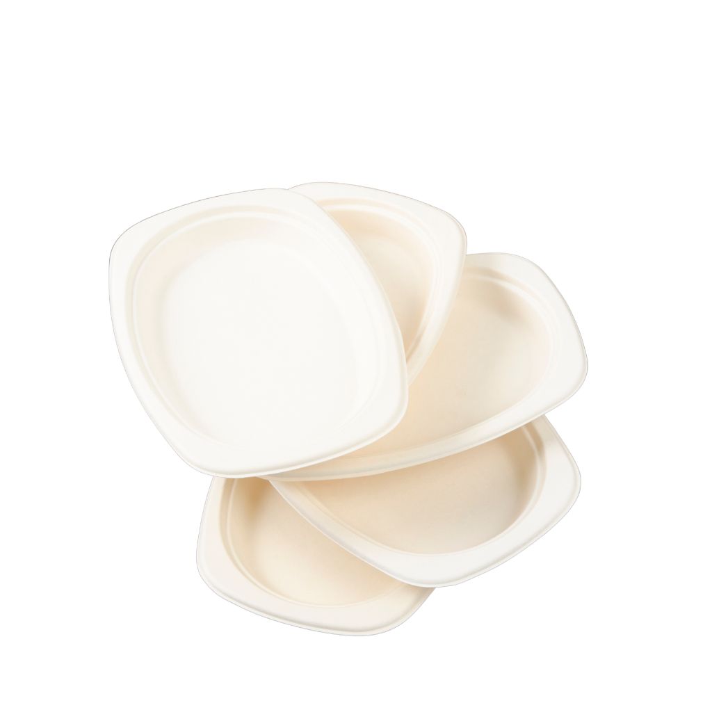 CLAMSHELLS (BAGASSE) - MoryEng